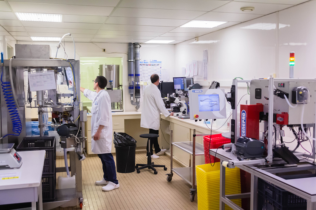 Reproduction et insémination porcine, nos savoir-faire